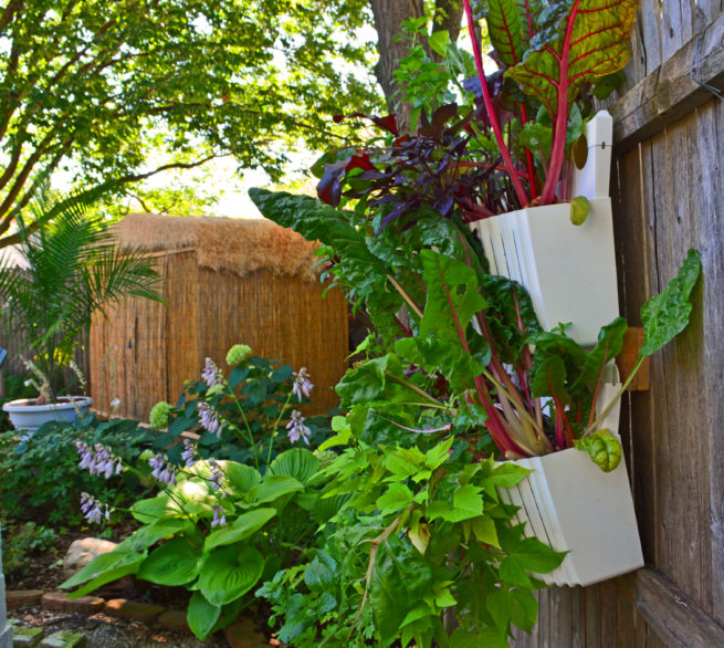 Vertical gardens Planters Are Easy To Install in Full Shade