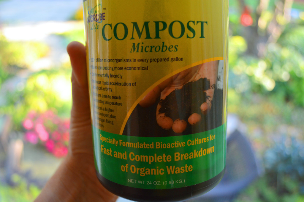 Compost Microbes ⋆ Shawna Coronado