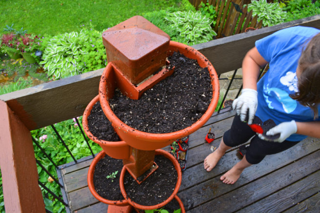 How to Plant a Garden Post Vertical Garden