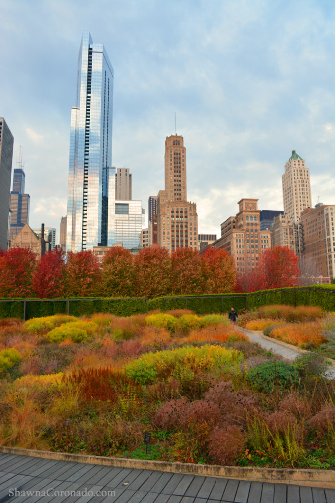 Fall at the Lurie Garden