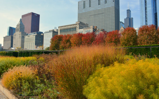 Fall at the Lurie Garden