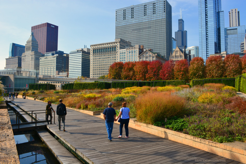 Fall at the Lurie Garden