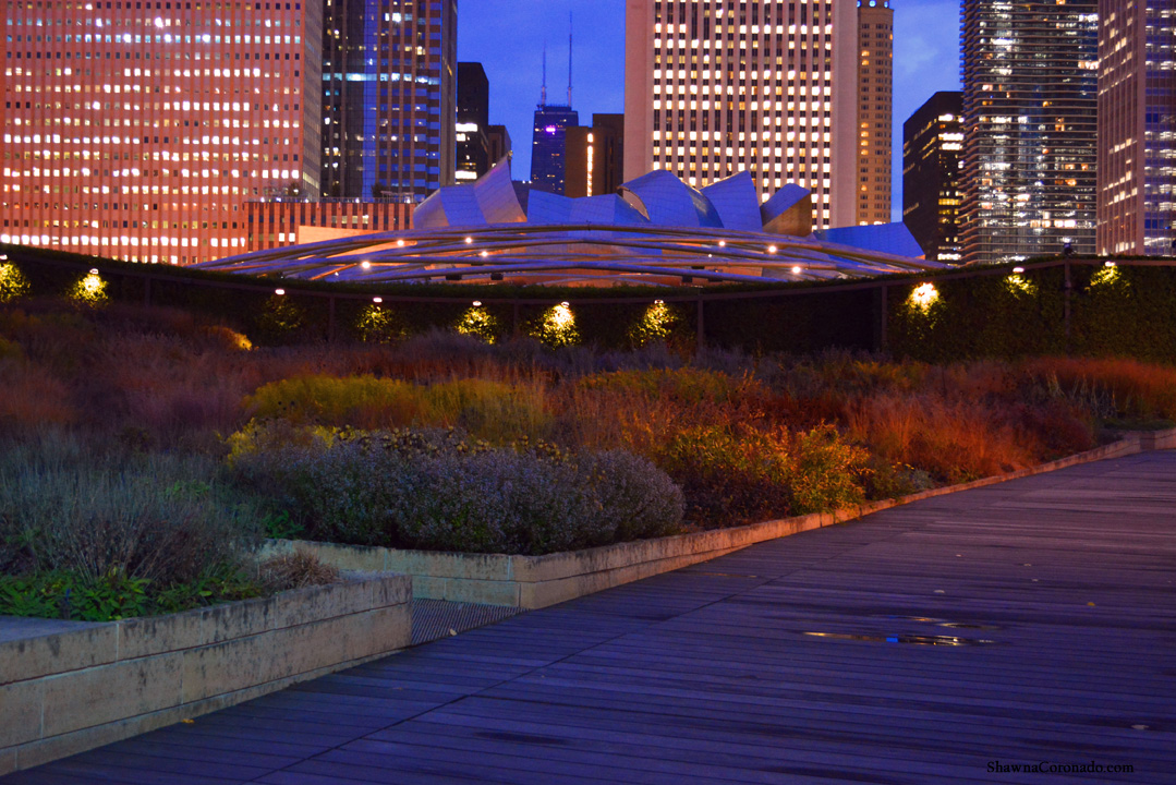 Morning Visit to The Lurie Garden