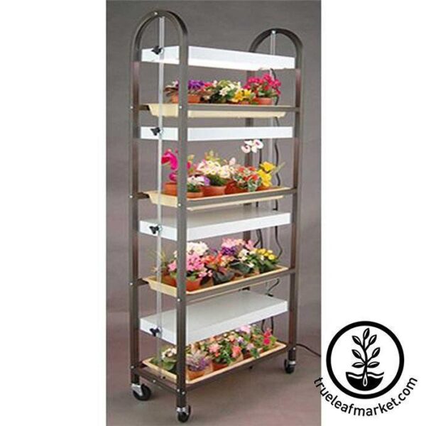 Indoor Vegetable Gardening Guide for Beginners